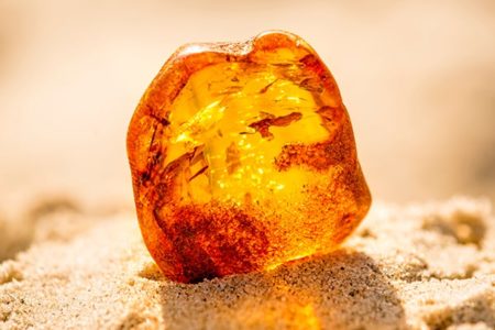 Amber Gemstone | Amber Stone by Laterra Gems